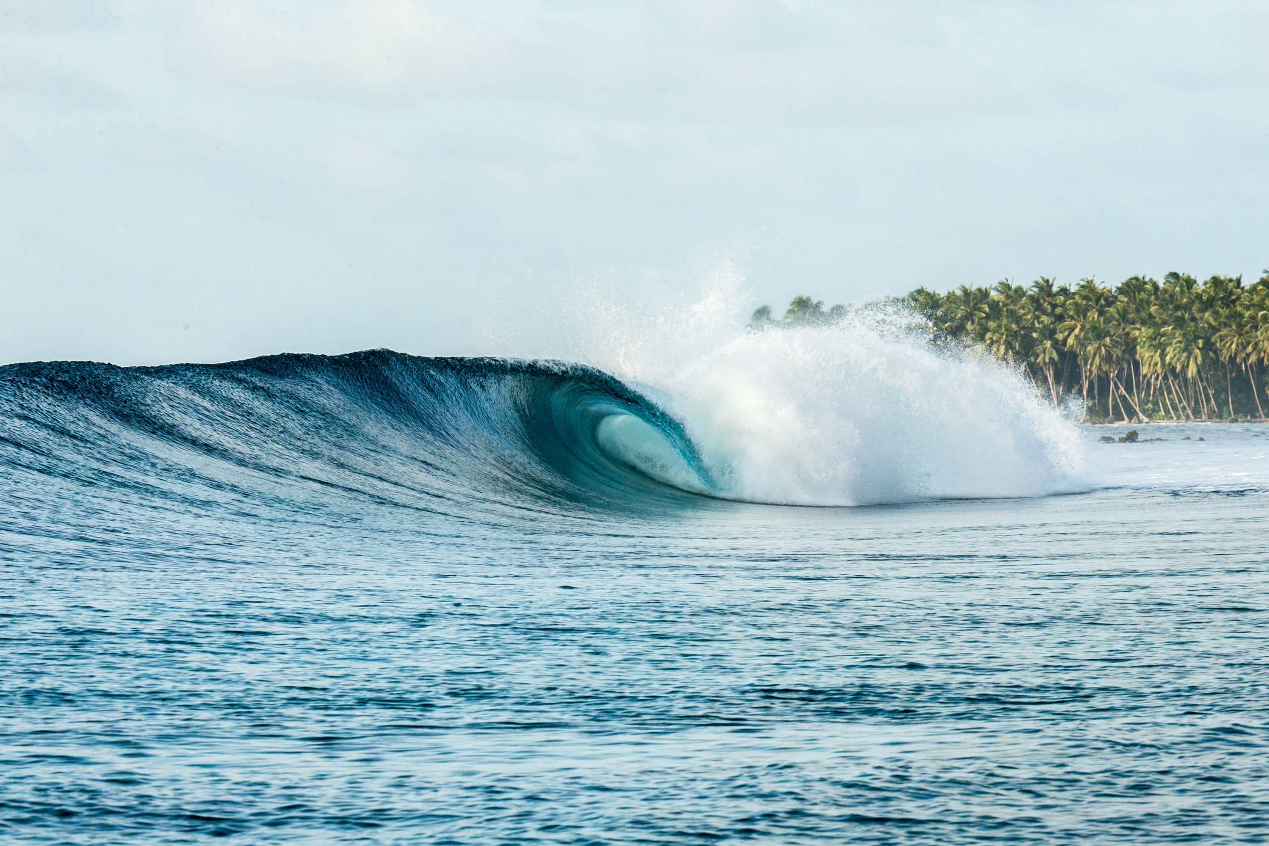 Shared Charters - Maldives Surfing | Surfatoll Surf Trips