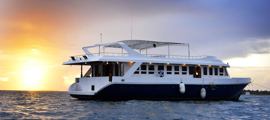 Surf cruiser - Surfatoll